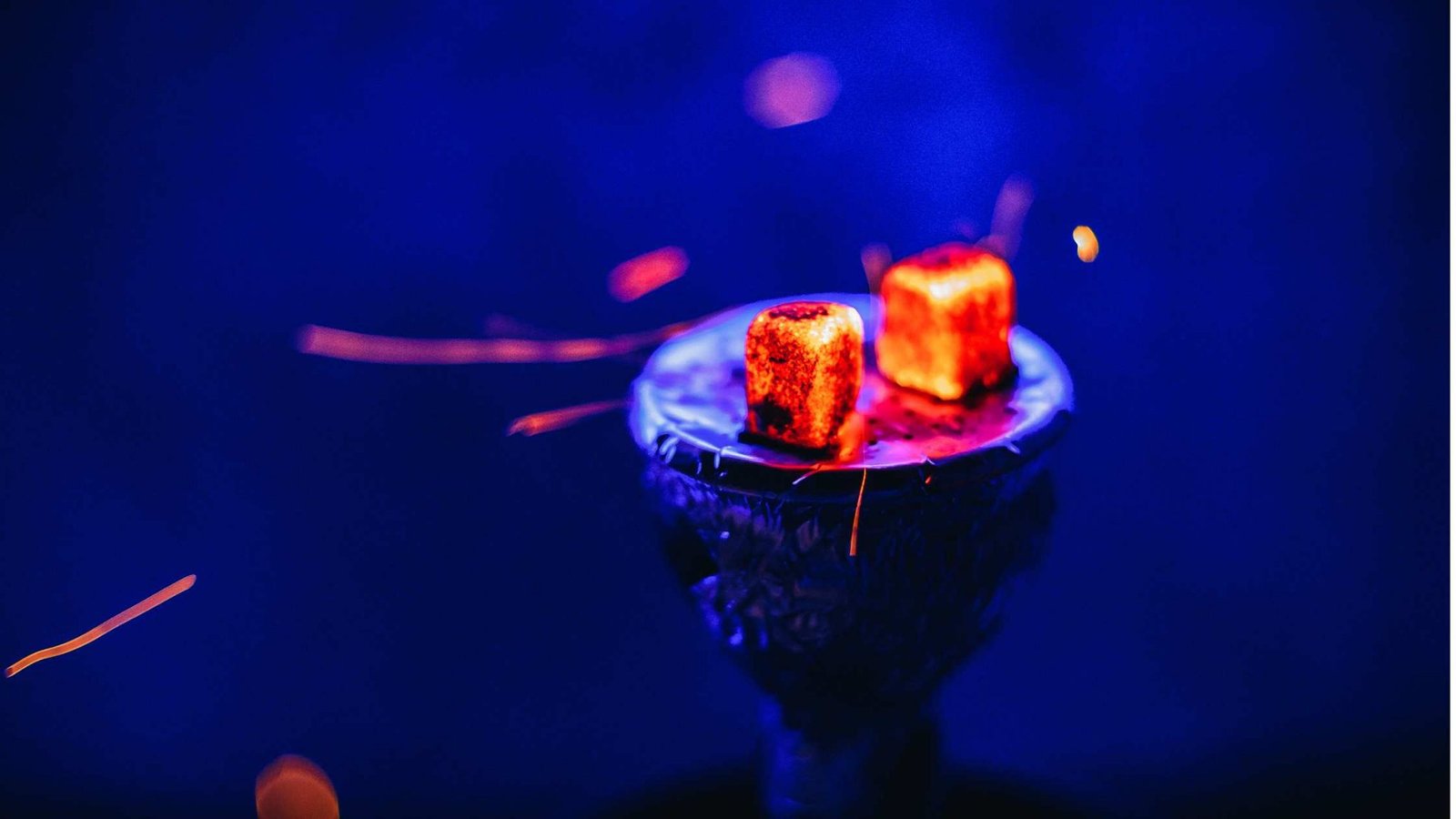 What Is Shisha & How It Works | Cataleya Resto Lounge London